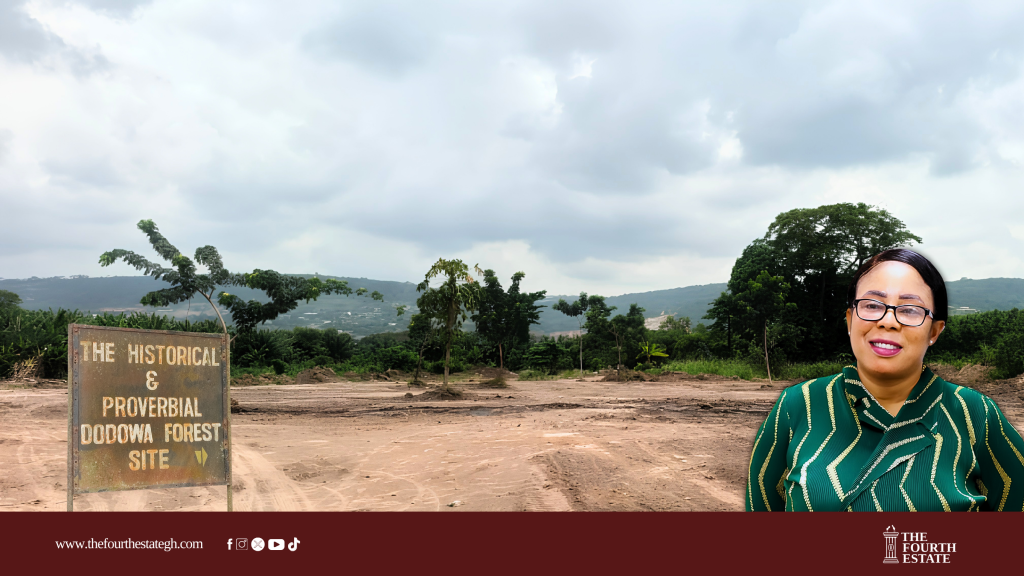 Huge swathe of Dodowa Forest cleared to relocate traders, raising alarm ...
